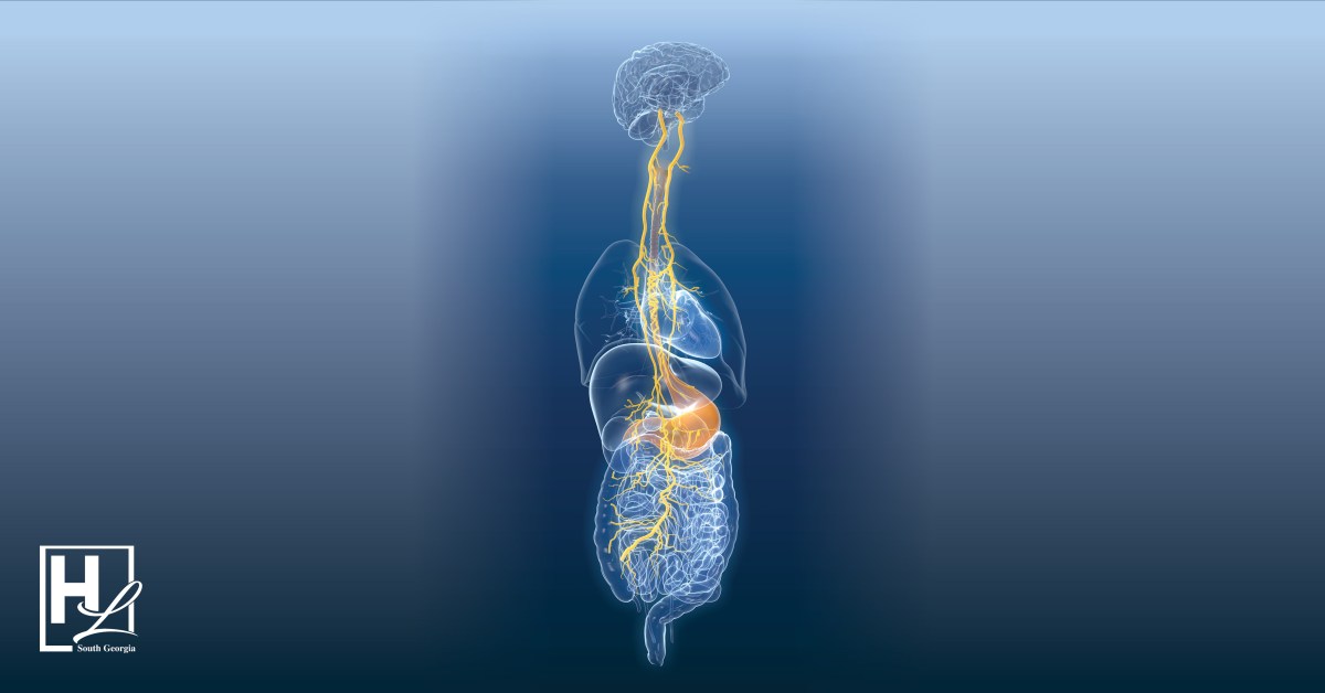 Understanding the Vagus Nerve: Not All Who Wander Are Lost – Health ...